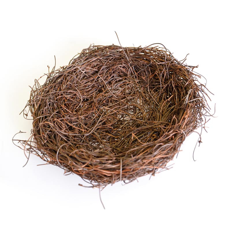 Images of Nido - JapaneseClass.jp