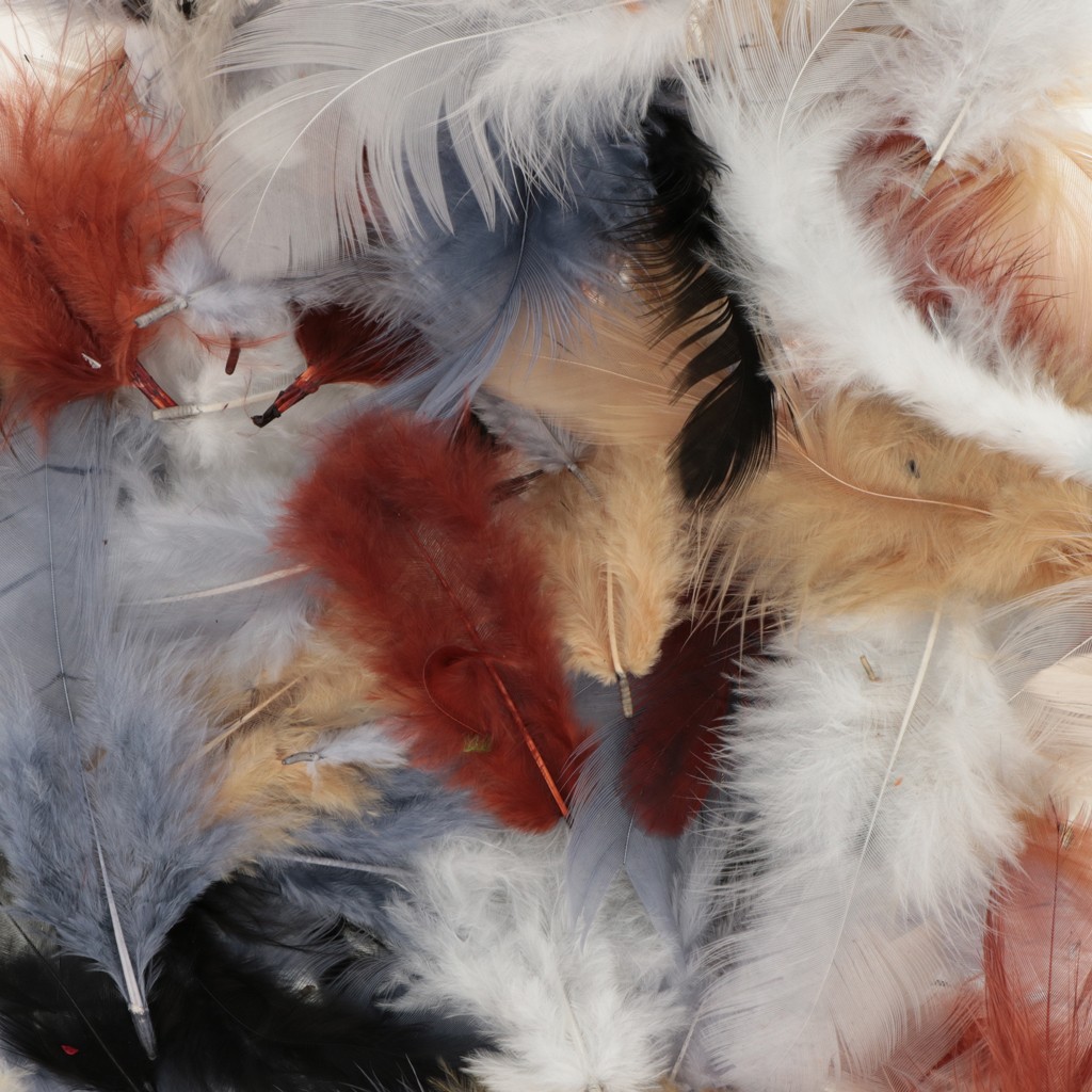 Piume 8 -12 cm per bijoux e decorazione DIY - Naturale x10gr - Perles & Co