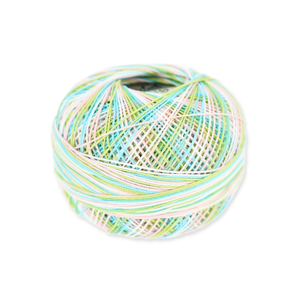 Filo cotone Lizbeth taglia 20 Wild Flower n°109 x192m - Perles & Co